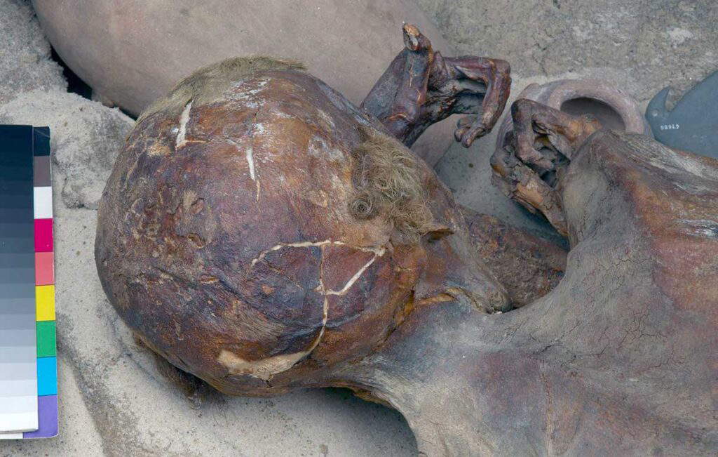 Mummification: The Ancient Egyptian Art of Embalming the Dead