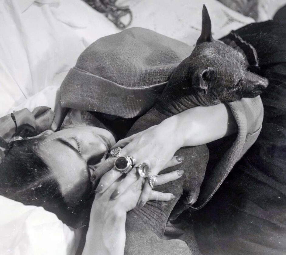 10 Artists and Their Indispensable Canine Companions