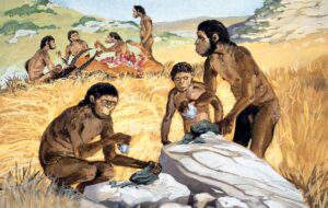 Homo Habilis: The First Humans?