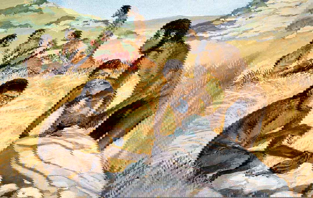 Homo Habilis: The First Humans?