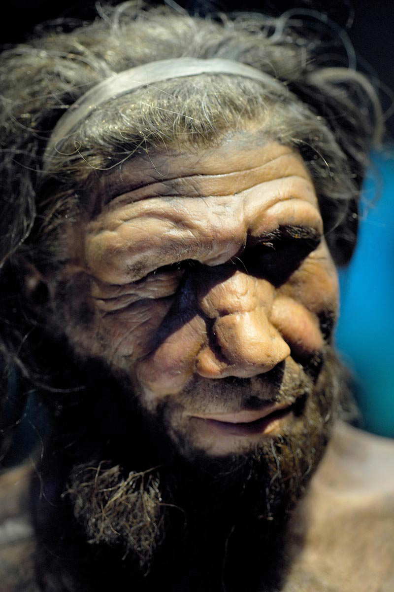 Did Humans and Neanderthals Interbreed?