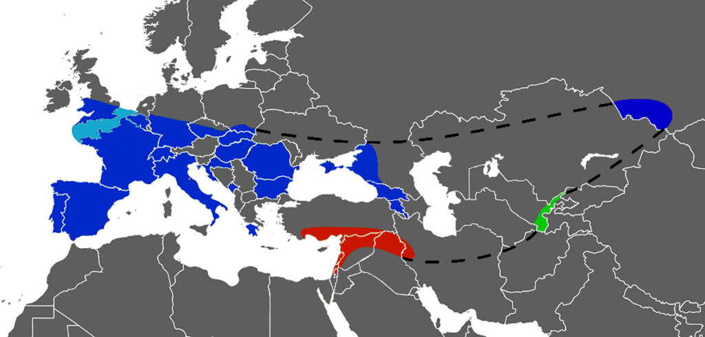 Did Humans and Neanderthals Interbreed?