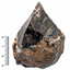 Homo Habilis: The First Humans?
