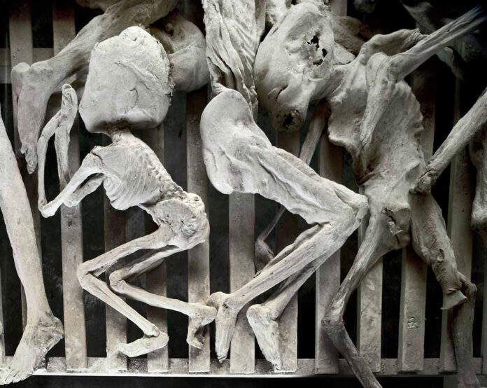 10 Heartbreaking Facts About the Rwandan Genocide