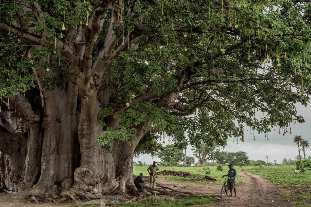“I Am Because We Are”: Introducing Ubuntu Philosophy