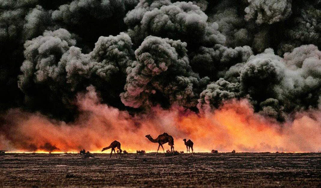 5 Captivating Photographs by Steve McCurry