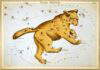 The Greek Mythology Behind Famous Constellations