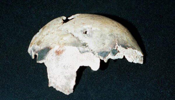 How Did People React to Hitler’s Death & Germany’s Surrender?