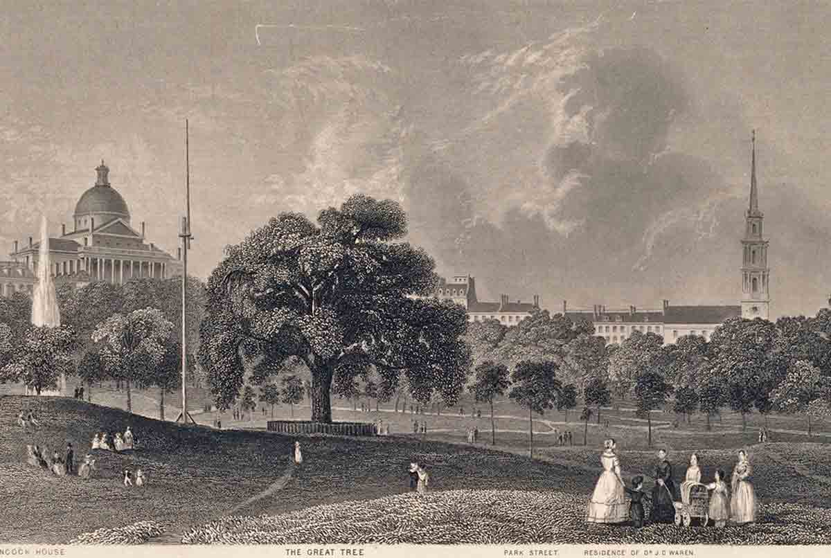 Was Walt Whitman a Transcendentalist?