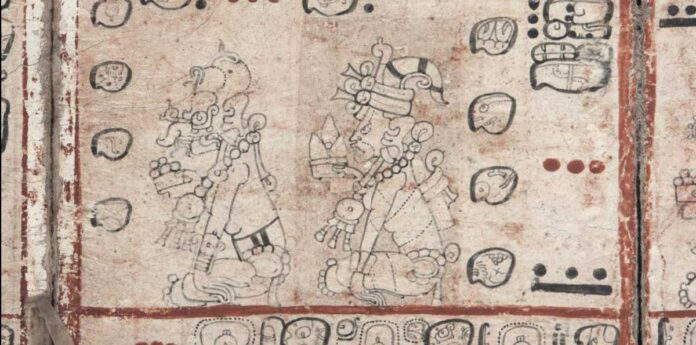 10 English Words Borrowed from Indigenous Languages of the Americas