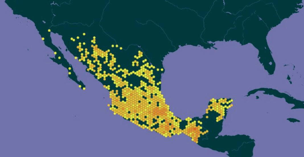 Nixtamalization: How Ancient Americans Bio-Engineered Corn