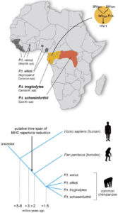 The AIDS Epidemic: A Heartbreaking Story