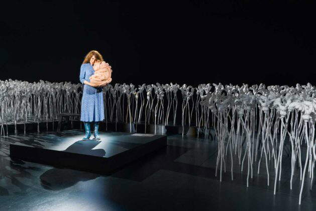 What Are Patricia Piccinini’s Works About?