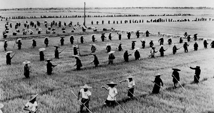 Mao’s Great Leap Forward & How It Killed Millions