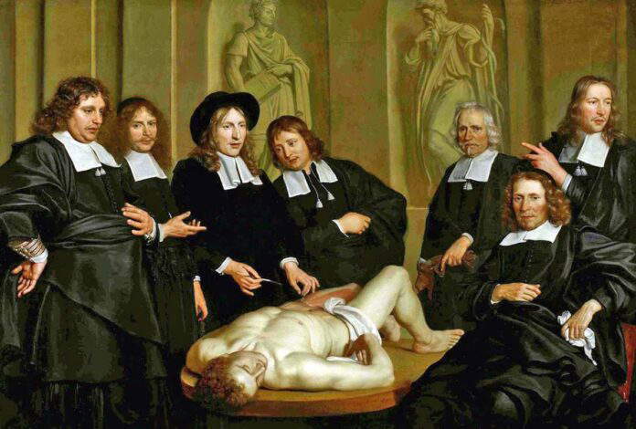 How Did Rachel Ruysch Become a World Famous Still Life Painter?