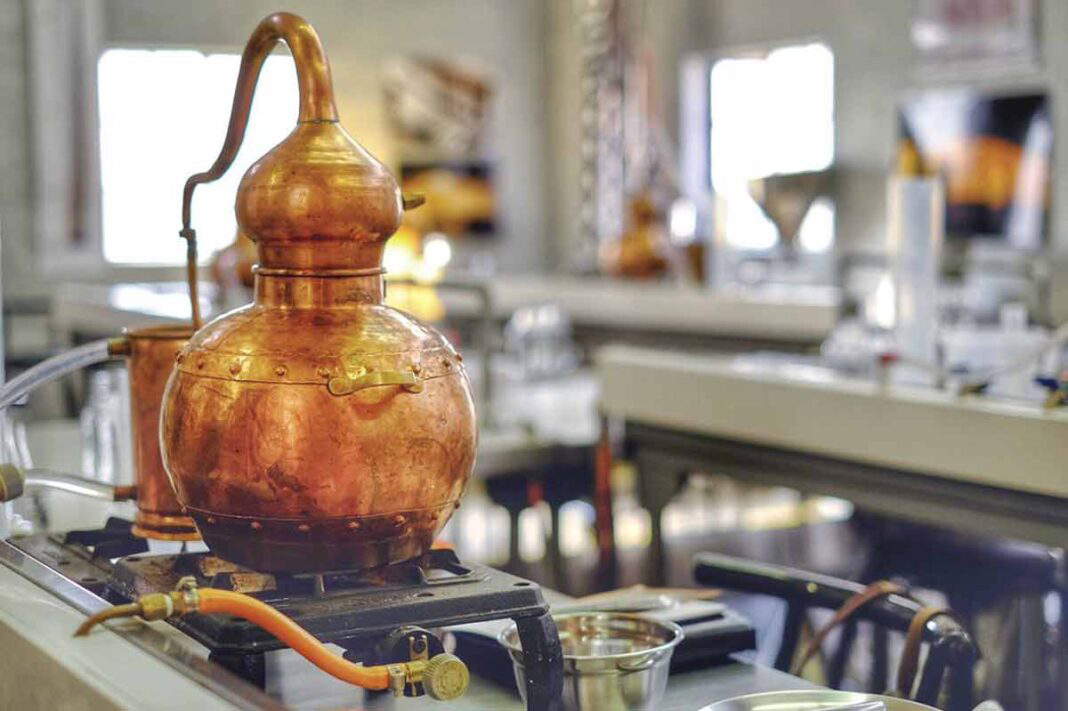 What’s the History of Gin?