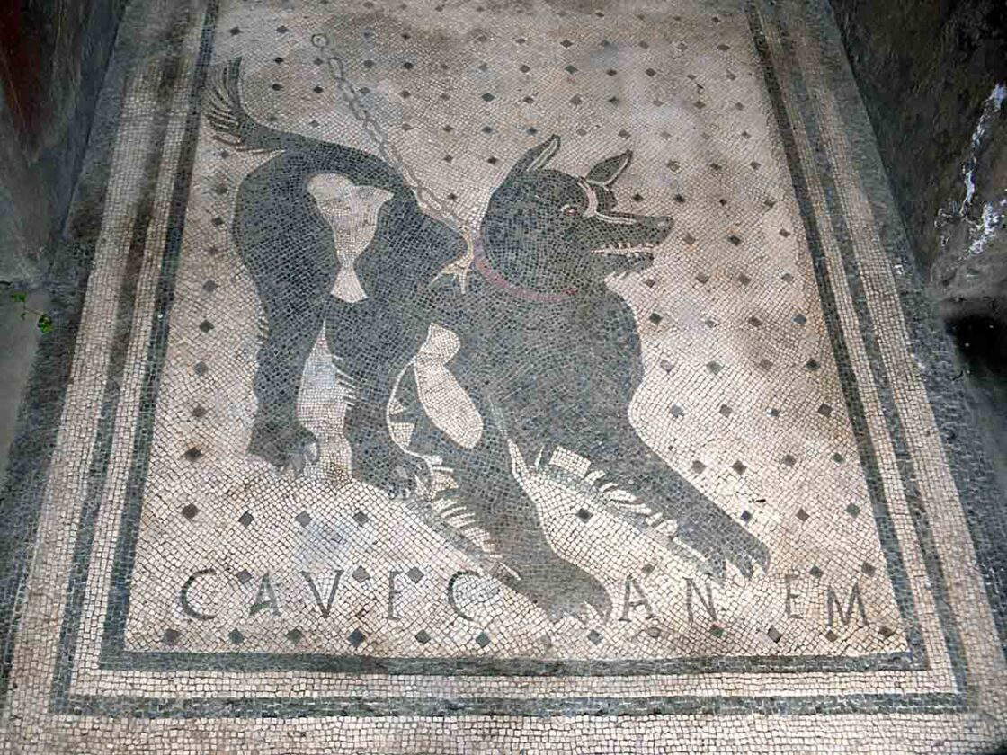 What Pets Did the Ancient Romans Have?