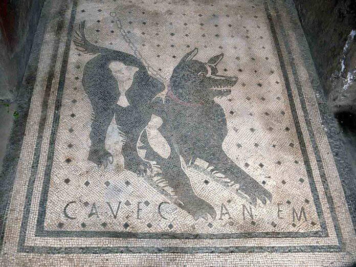 What Pets Did the Ancient Romans Have?