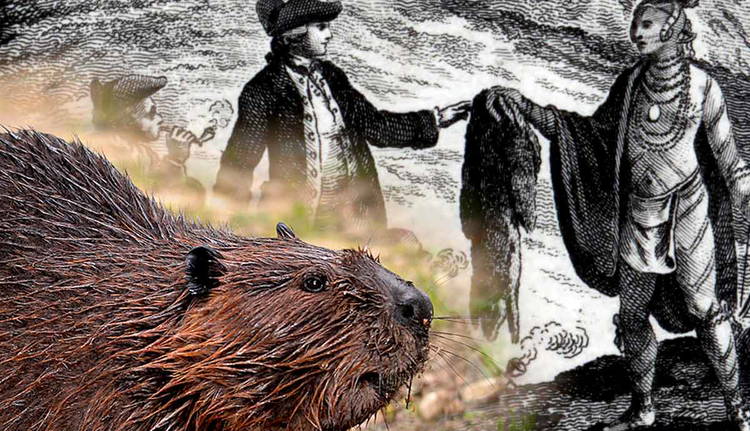 How Fur Trade Resulted in All-Out War: The Algonquin vs. The Iroquois