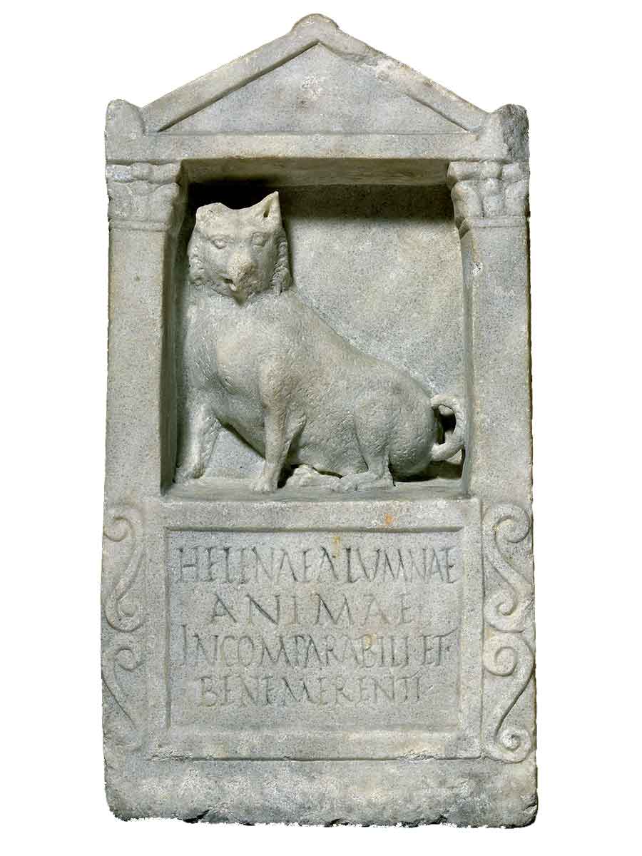 What Pets Did the Ancient Romans Have?