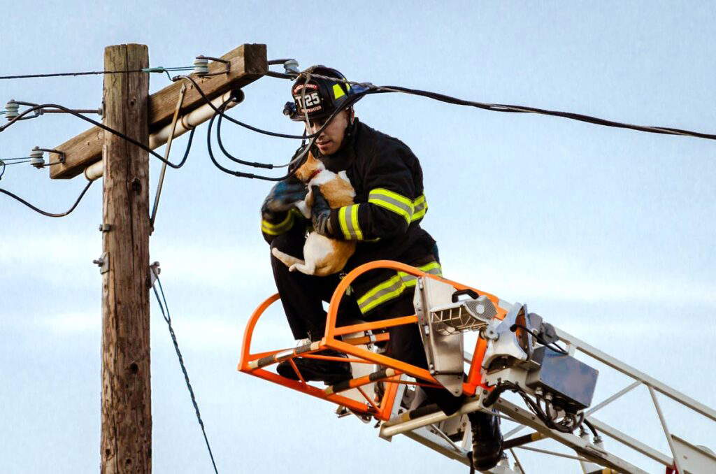 8 Narrative Film Techniques You Should Know