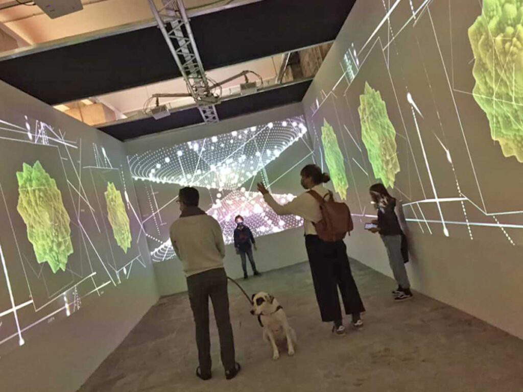 What Are the Best Museums in Trieste, Italy?