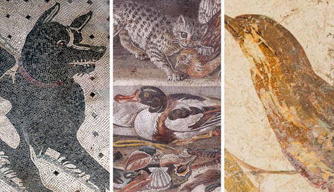 What Pets Did the Ancient Romans Have?