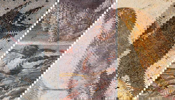 What Pets Did the Ancient Romans Have?