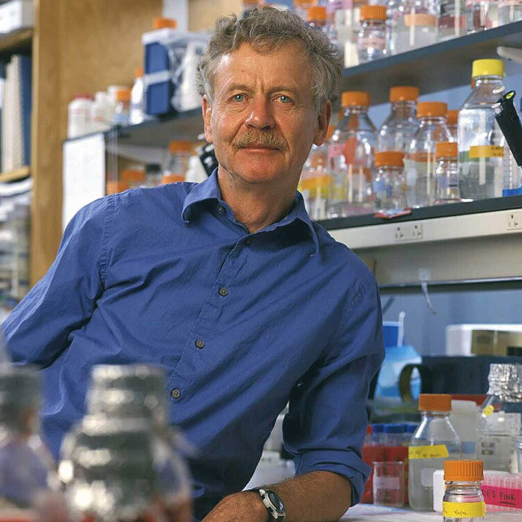 Hans Jonas on Responsibility in the Age of Artificial Intelligence