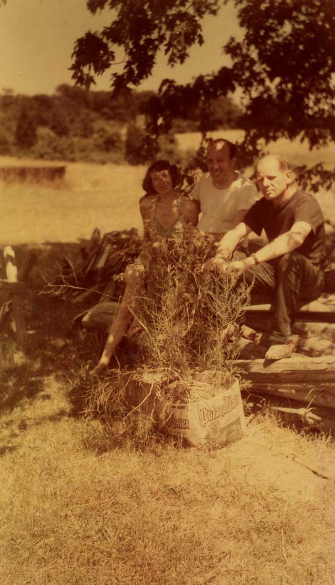 Did This Psychoanalytical Cult Kill Jackson Pollock?