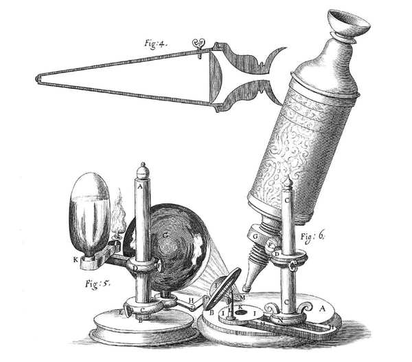 How Accurate Were Aristotle’s Views on Science?