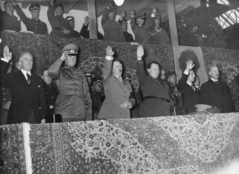 Hitler in Politics: From the Nazi Party to the Reichstag