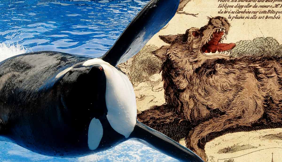7 Shocking Animal Attacks You’ve Never Heard Of