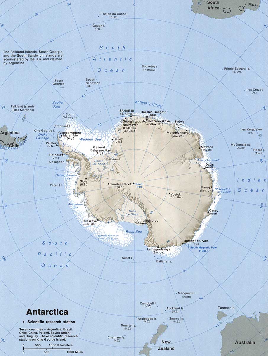 What’s the History of Humans in the Antarctic? | TheCollector