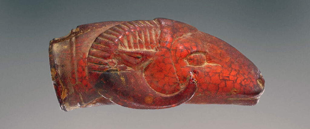 5 Ancient Roman Medical Practices Still in Use Today