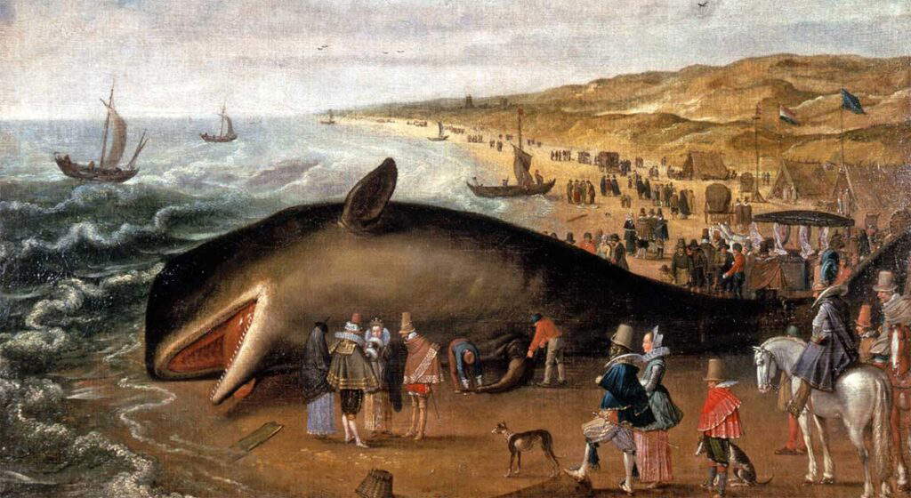 What Is the Leviathan in the Bible? (A Biblical Mystery)