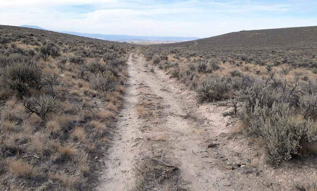 What Was the Oregon Trail? History and Legacy