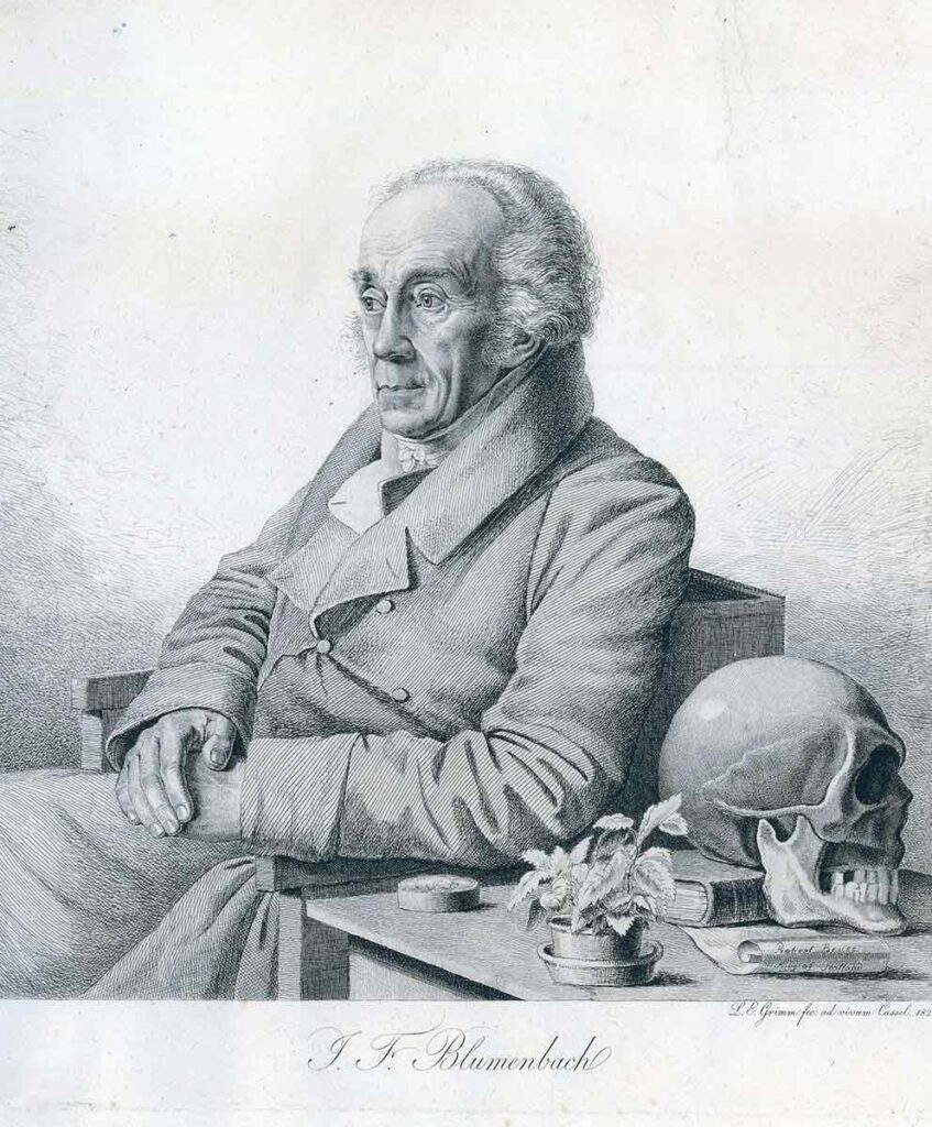 How Romanticism Set the Stage for Darwin’s Theory of Evolution