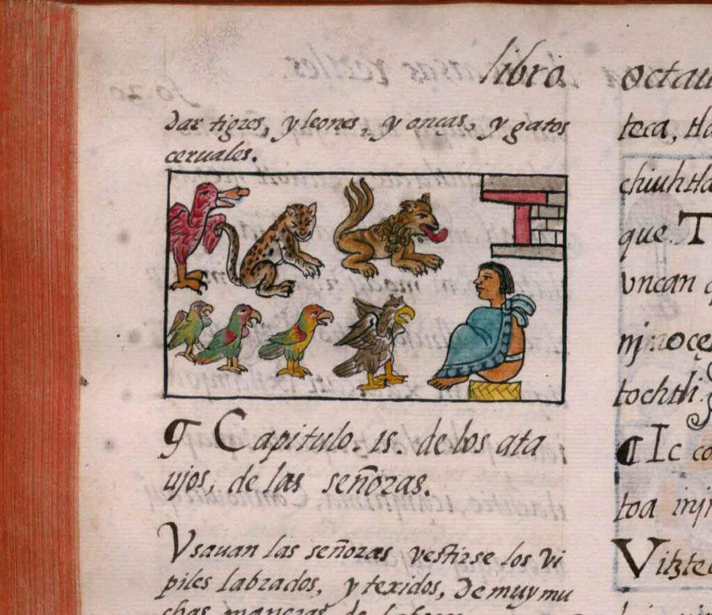 8 Fun Facts About Montezuma — Starting with His Real Name