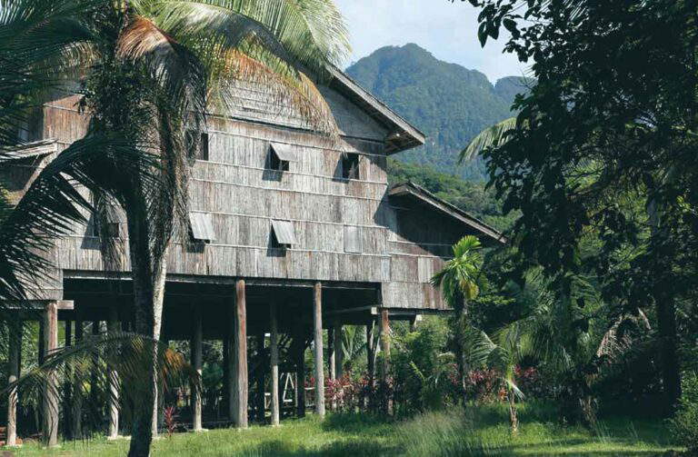 Kalimantan: Indonesia’s Hidden Gem for Animal Lovers