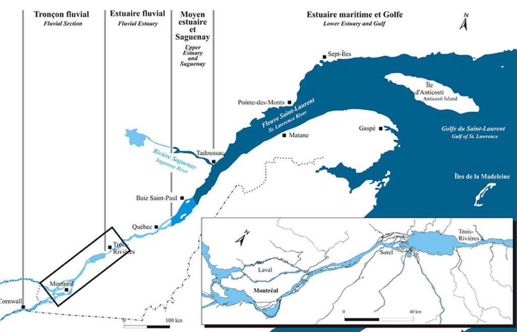 The First Nations of the Canadian Eastern Woodlands: A Brief History