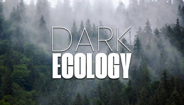 What Is Timothy Morton’s Dark Ecology?