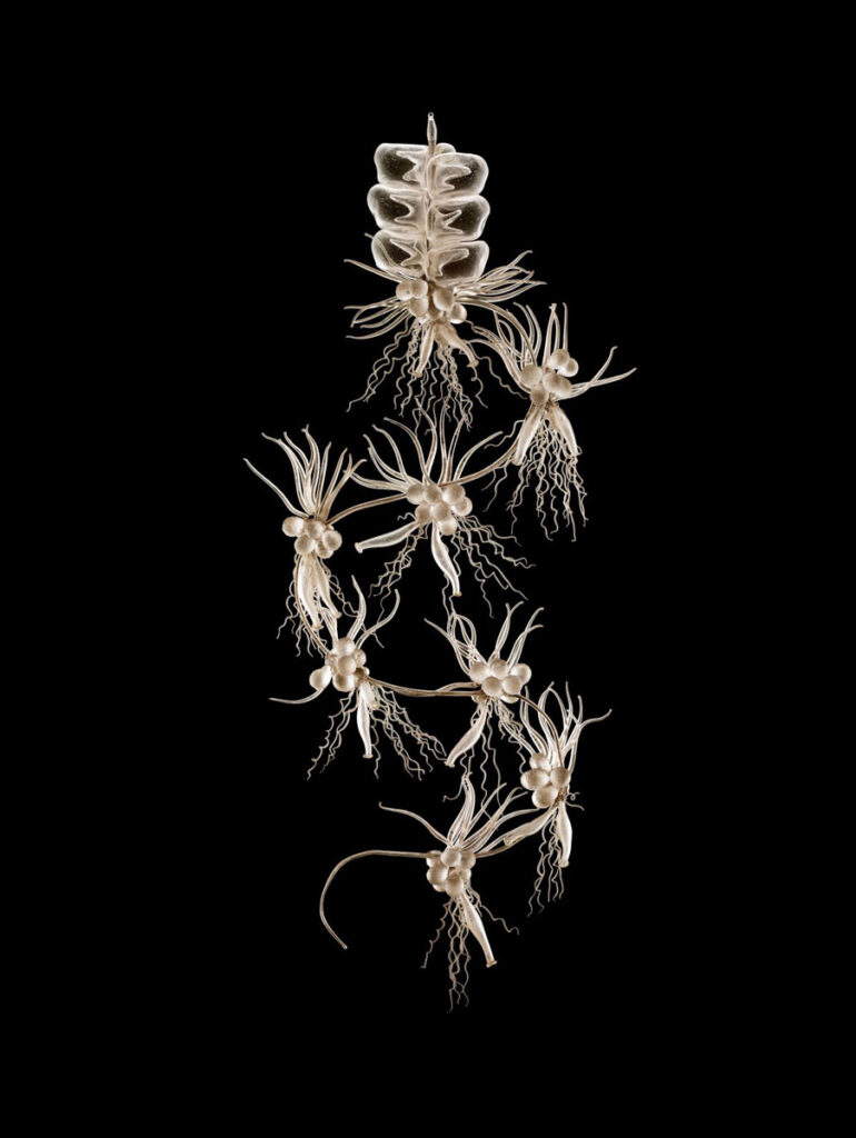 How Are Art and Science Related?