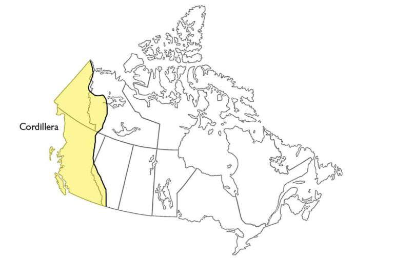First Nations of the Canadian Subarctic: A Brief History