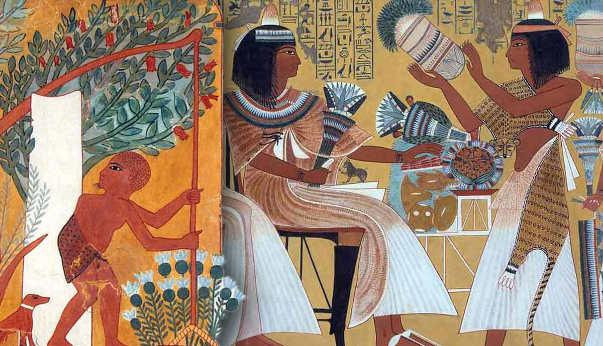 Did Climate Change Cause the Collapse of Egypt’s New Kingdom?