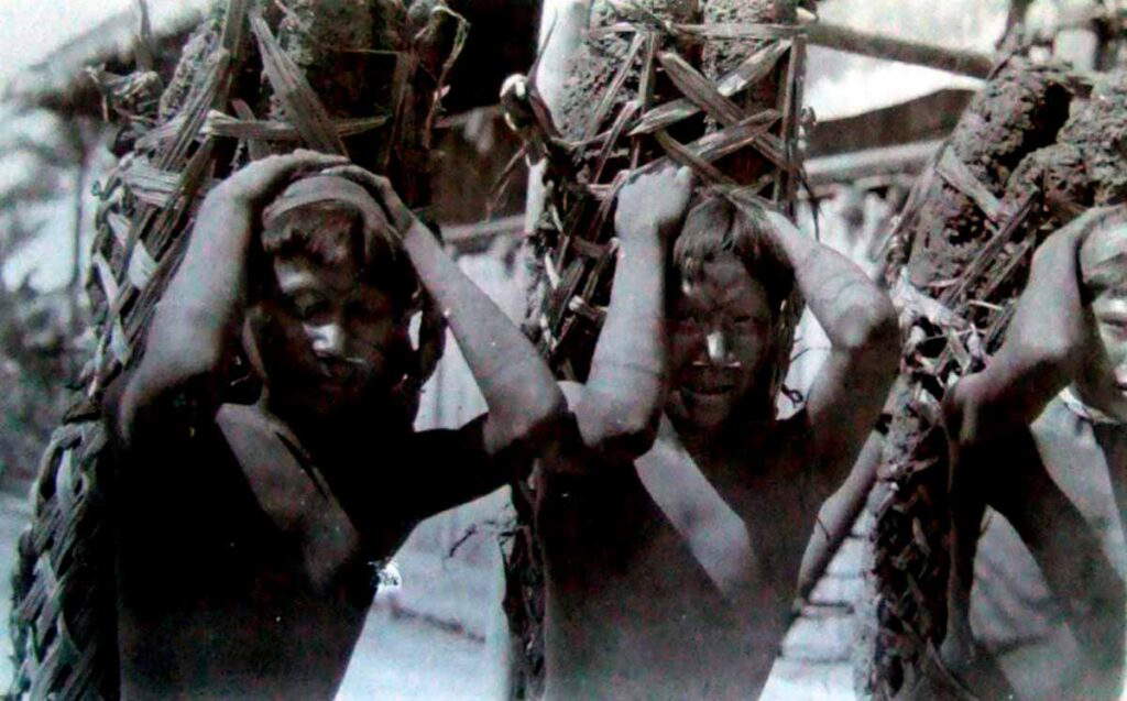 The Horrors of “Rubber Fever” in the Amazon Rainforest