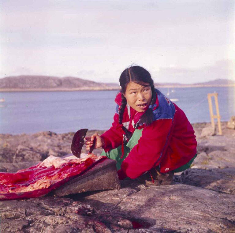 The Inuit and the Canadian Arctic: A Brief History