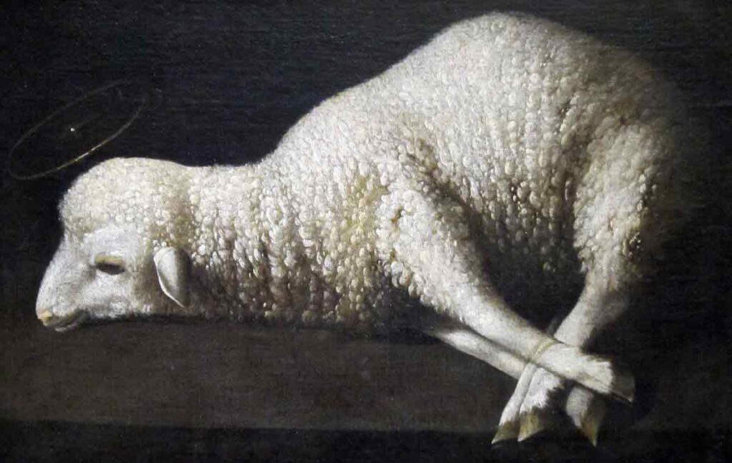 Who Are the 144,000 and the Great Multitude in the Book of Revelation?