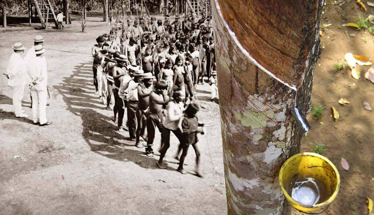 The Horrors of “Rubber Fever” in the Amazon Rainforest