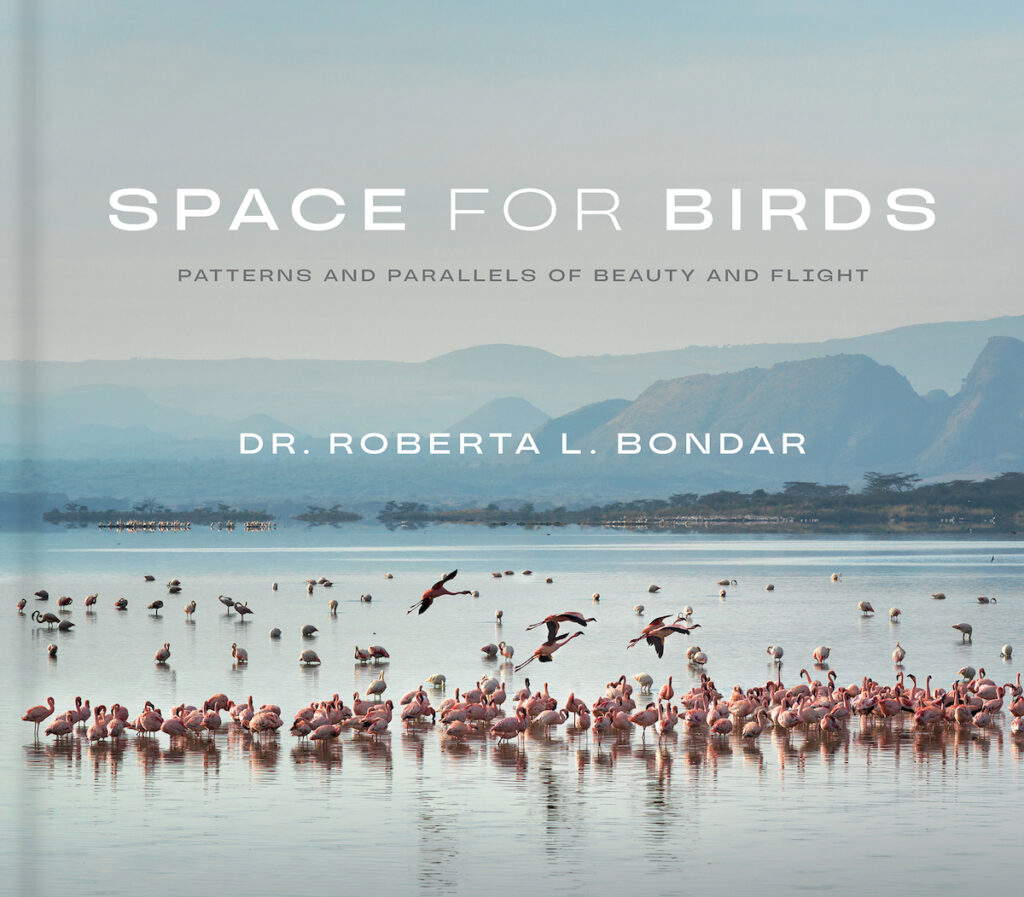Interview with Dr. Roberta Bondar: Intertwining Art and Science